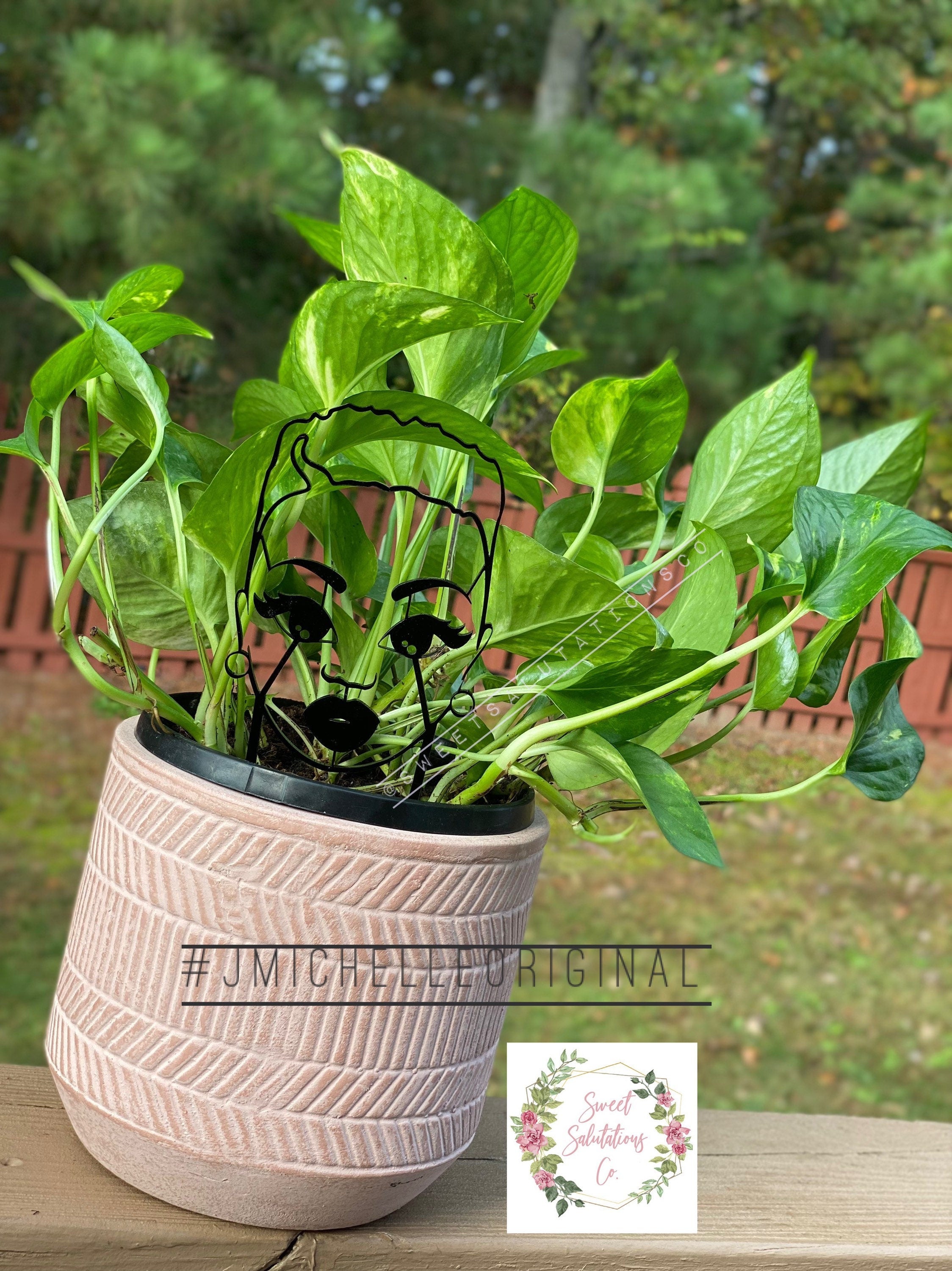 Melanin Trellis Head - Hightop Honey – Sweet Salutations Co.